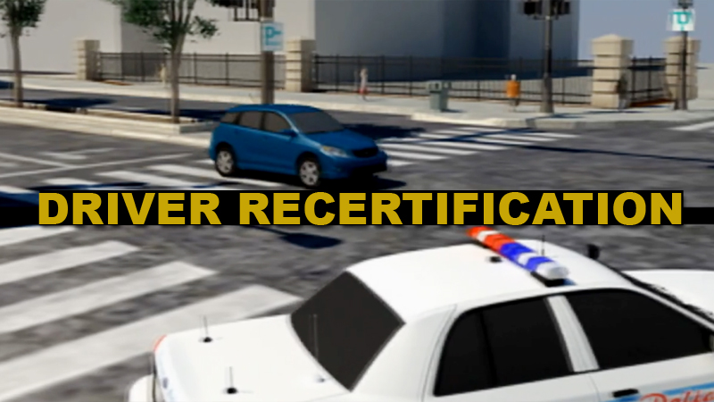 Course Catalog | TRNPC